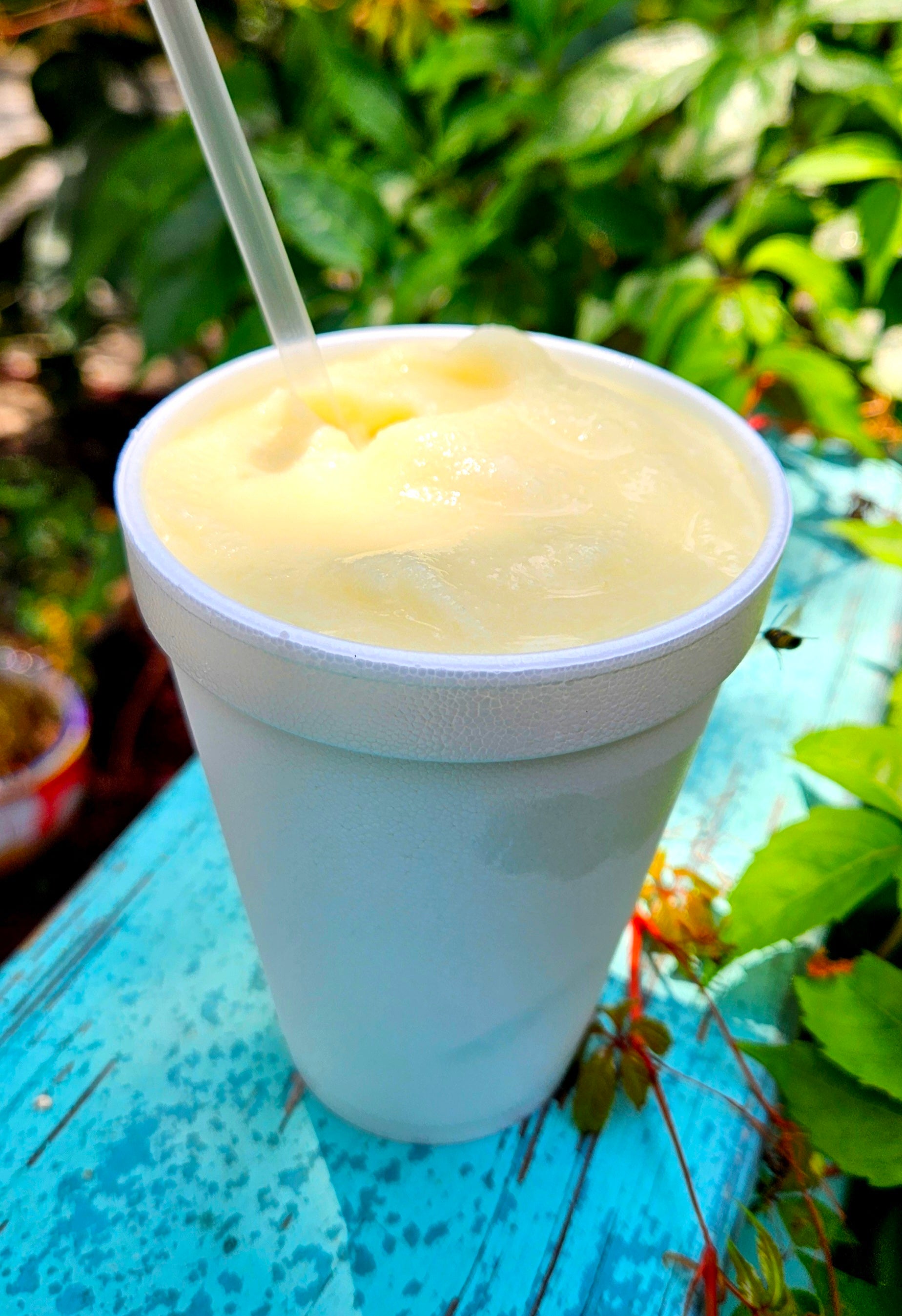 Piña Colada Smoothie | Coqui Snacks